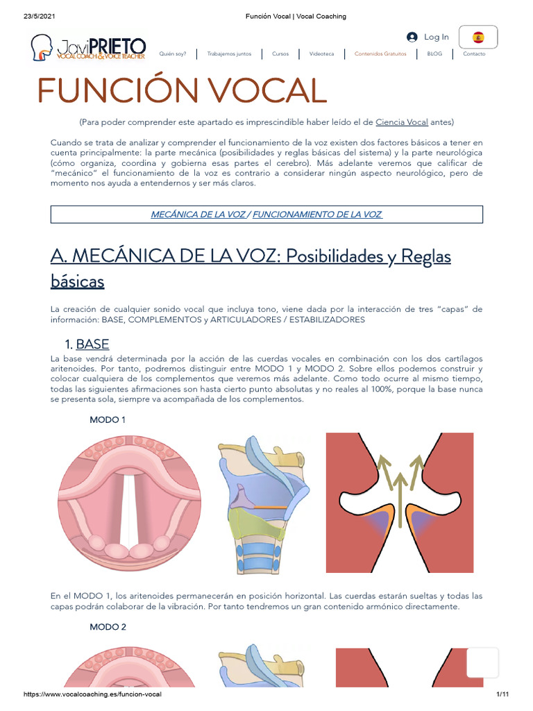 Función Vocal - Vocal Coaching | PDF | Laringe | Anatomía humana