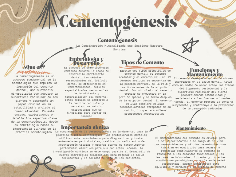 Cementogenesis García Hernández Edgar Axel 7HM6 | PDF | Odontología ...