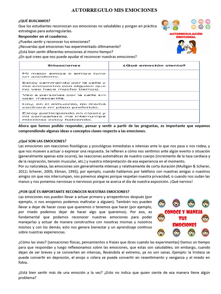 Autorregulo Mis Emociones Pdf Las Emociones Cognición
