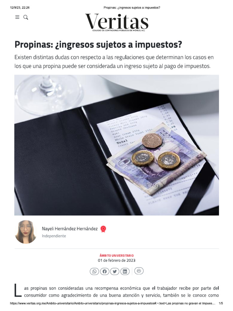 Propinas - ¿Ingresos Sujetos A Impuestos | PDF