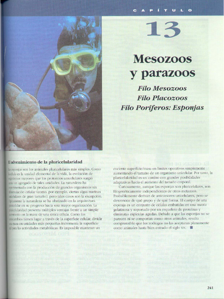 Cap13. Mesozoos y Parazoos | PDF