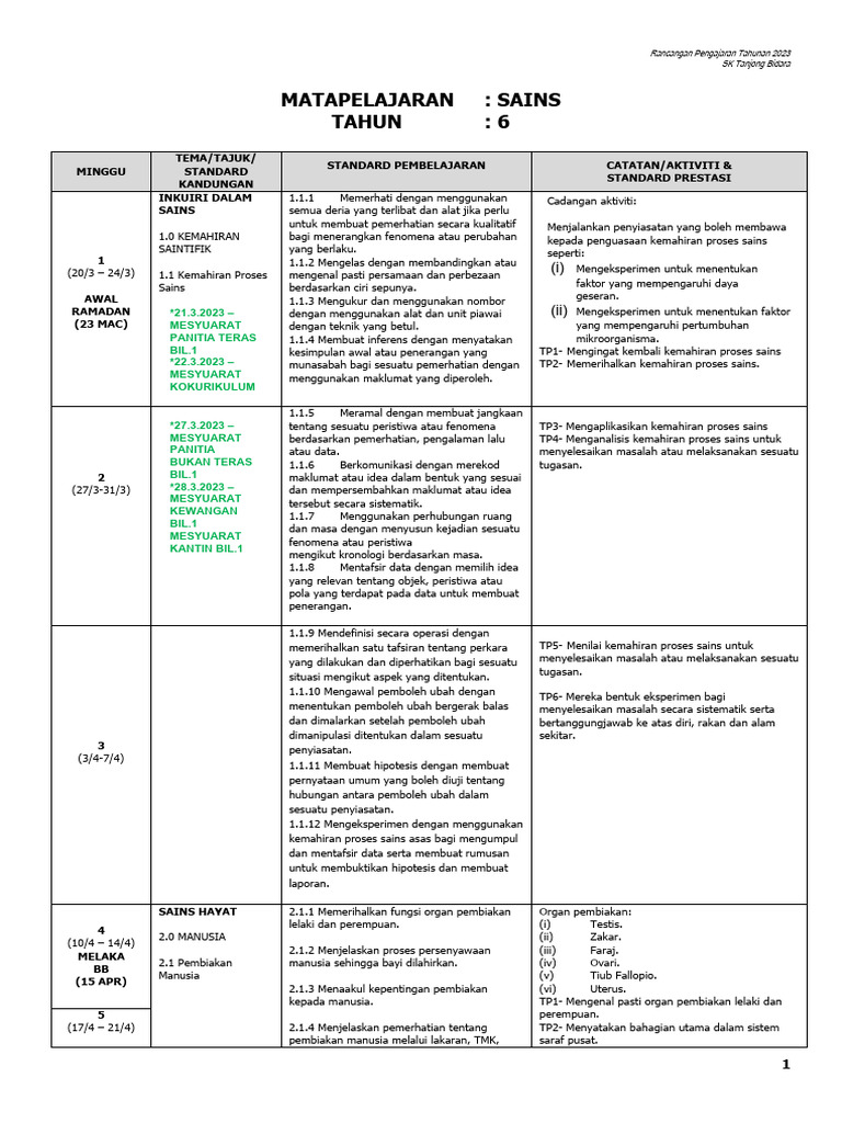 2023-RPT-SN Year 6 | PDF