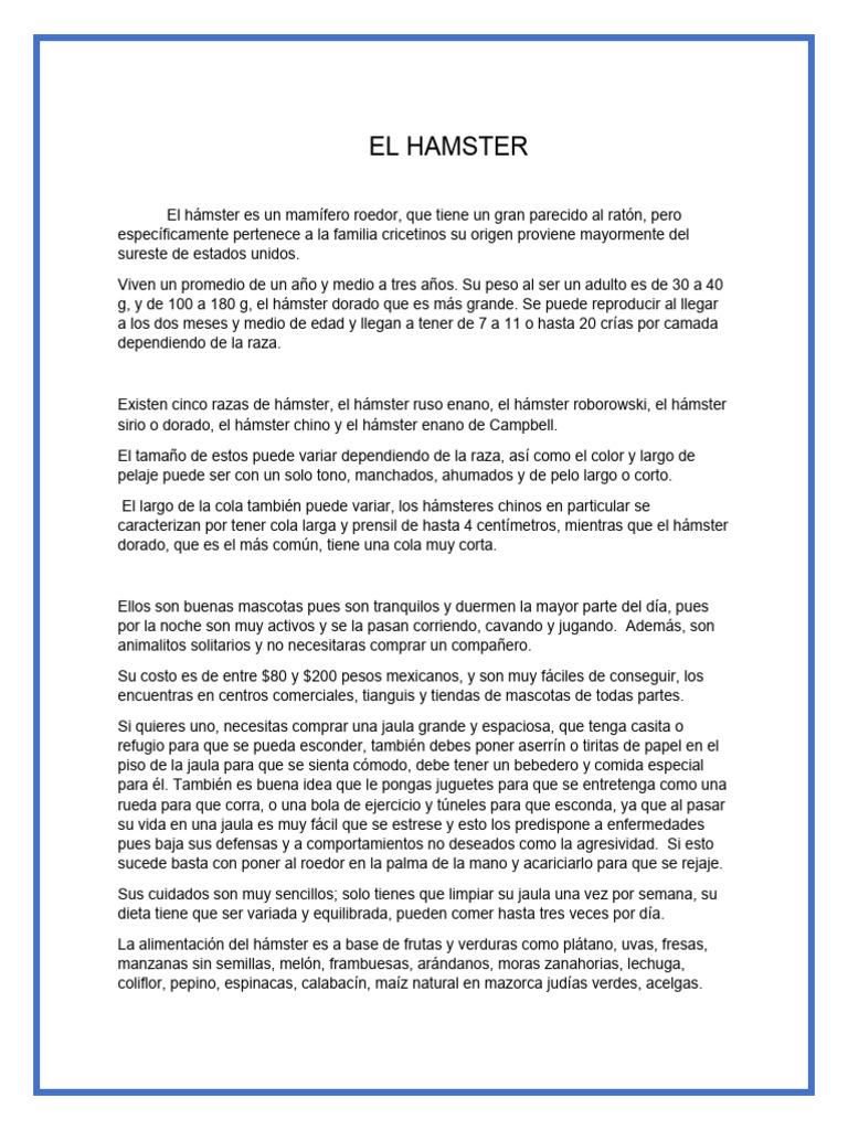 El Hamster | PDF