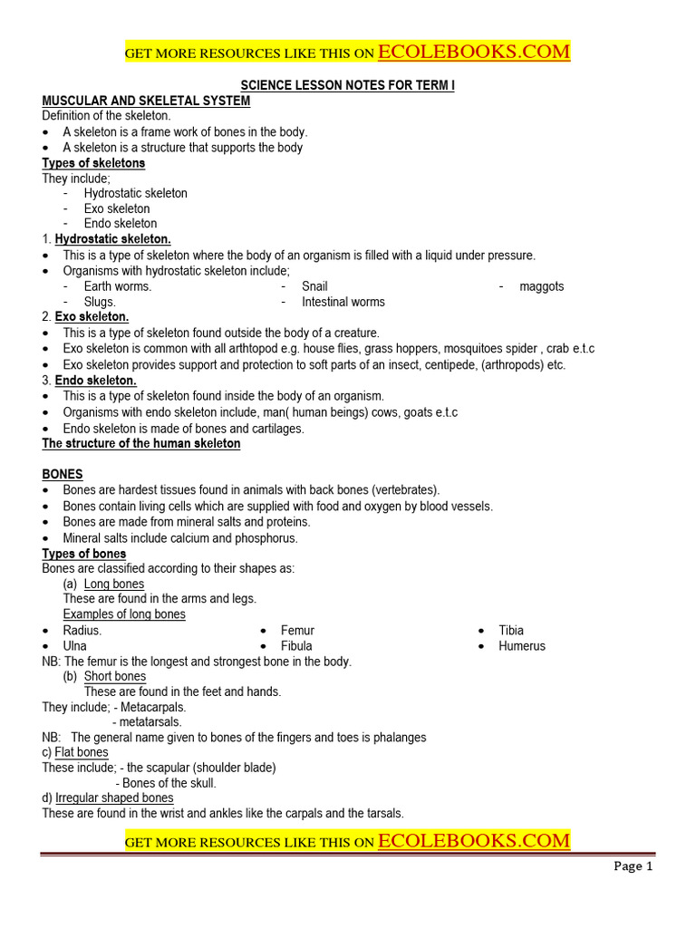 Muscular and Skeletal System Overview | PDF | Fuels | Lever