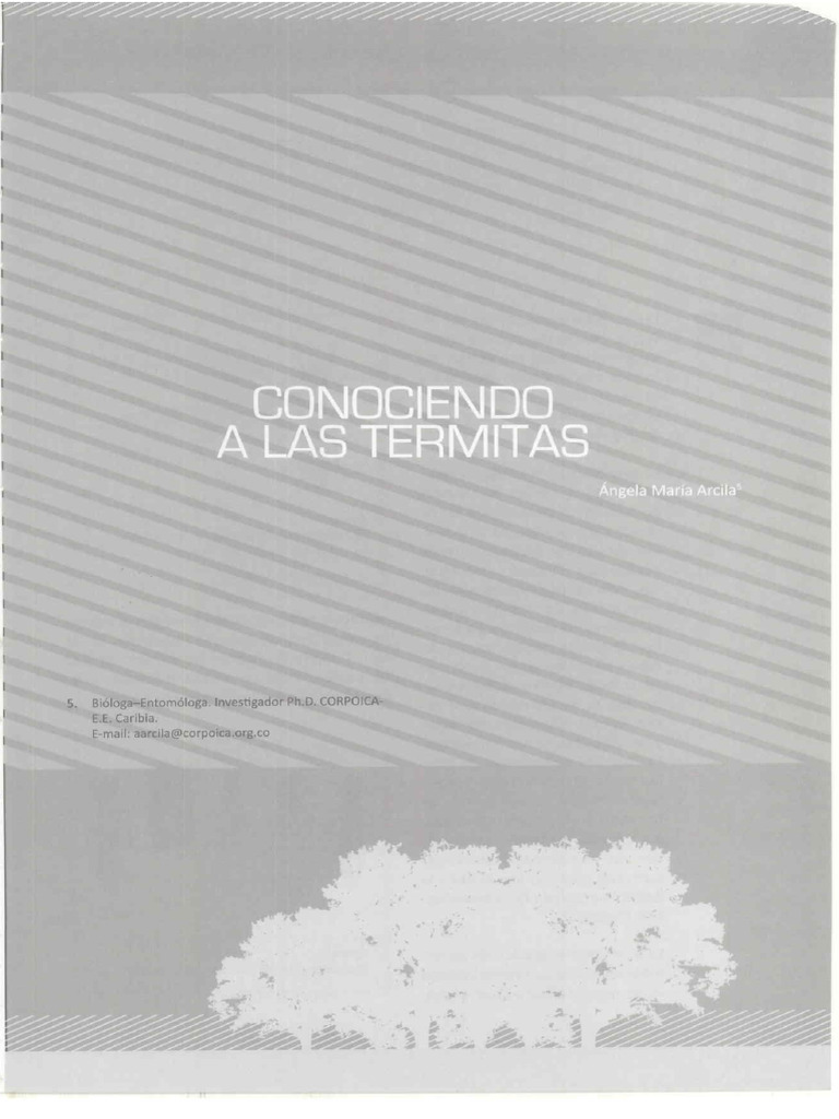 Ver Documento 1706 | PDF