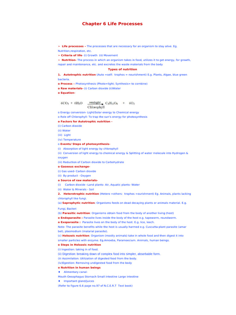 Class 10 Science CH 6 Life Processes | PDF | Atrium (Heart) | Vein