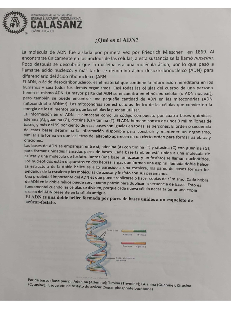 Adn-Genetica Molecular | PDF