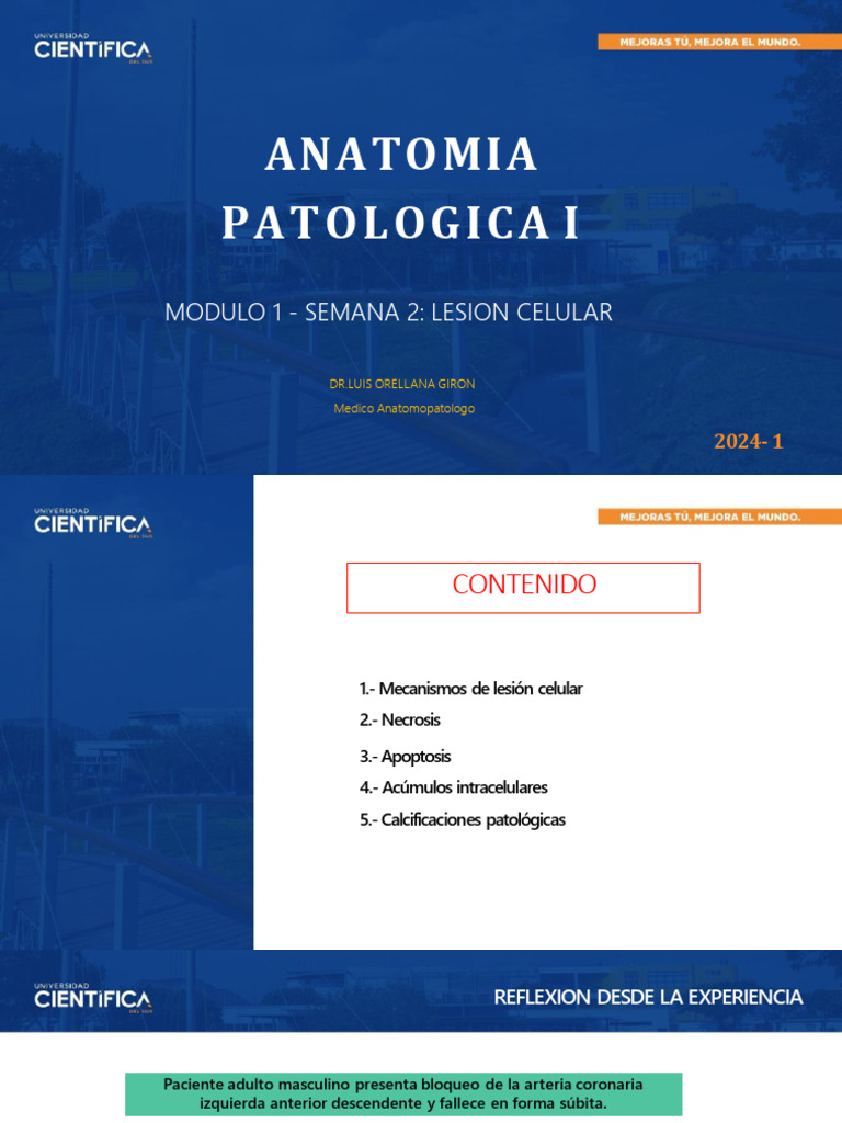 Teo2 Ap1 2022-2 (1) (2) 2 | PDF | Apoptosis | Mitocondria