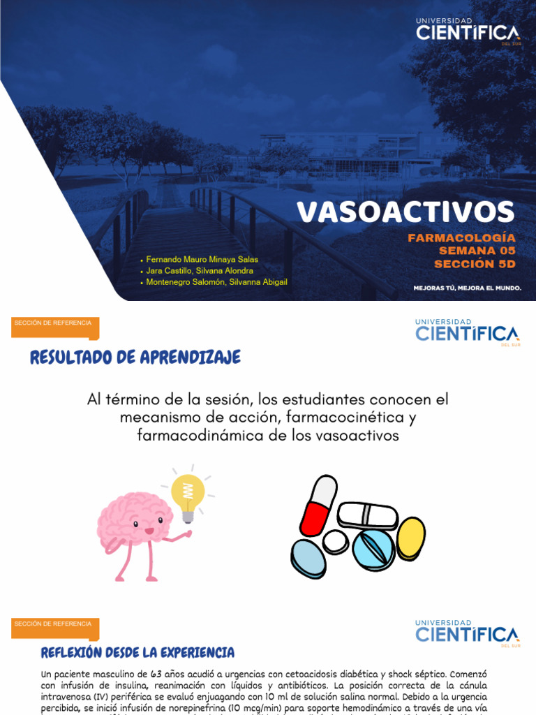 VASOACTIVOS FARMACOLOGÍA SEMANA 05 SECCIÓN 5D - Jara Castillo, Silvana Alondra | PDF ...