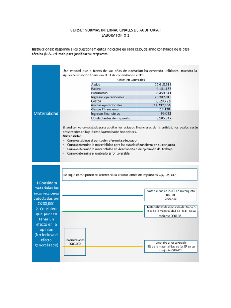 Laboratorio 2 NIA I 2024 | PDF | Auditoría | Economias