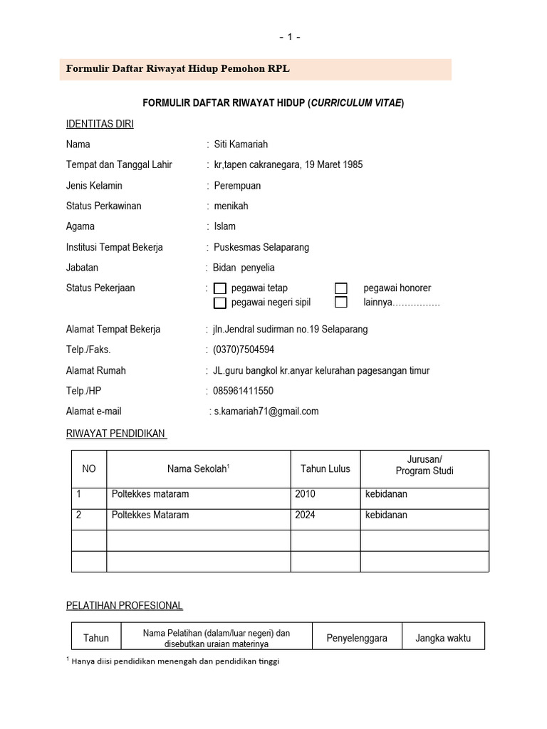 Salinan Salinan 4.formulir Isian Daftar Riwayat Hidup RPL | PDF
