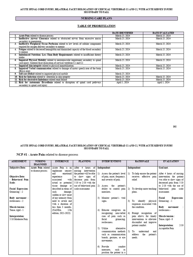 Nursing Care Plans Finally Char | PDF | Pain | Anemia
