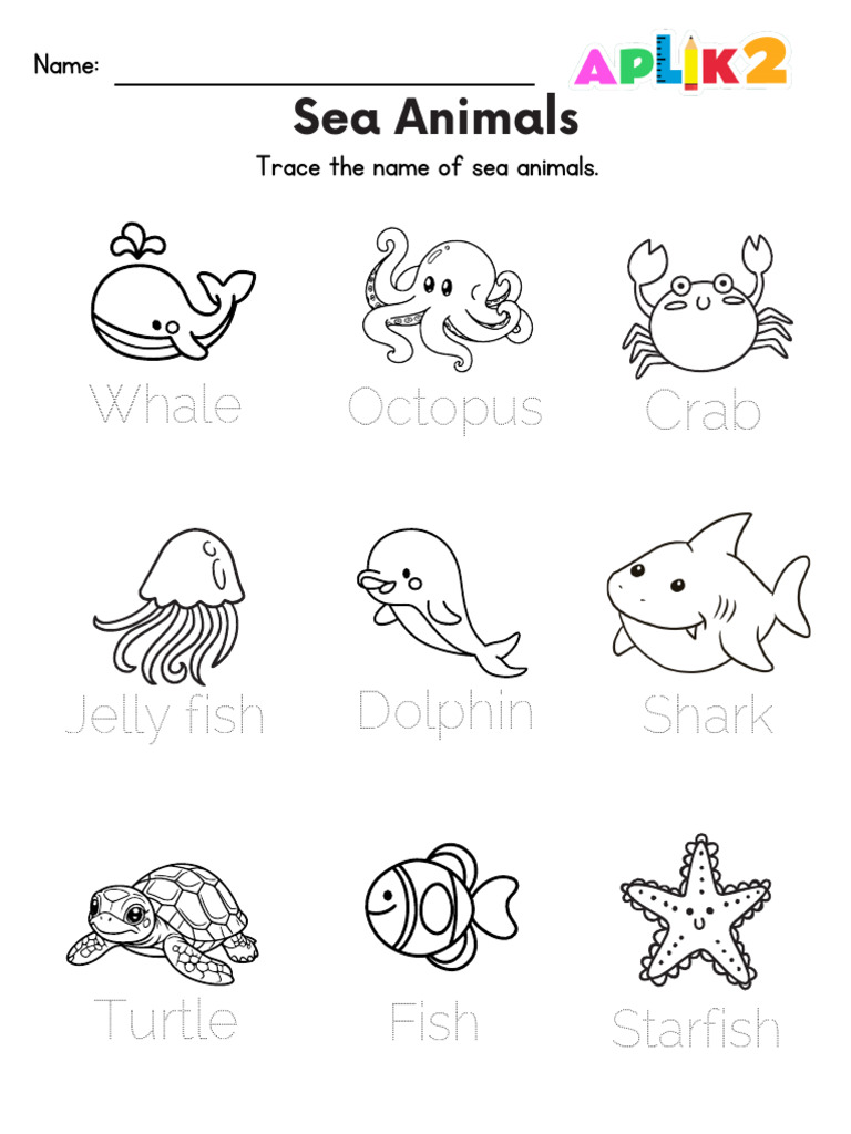 Sea animals | PDF