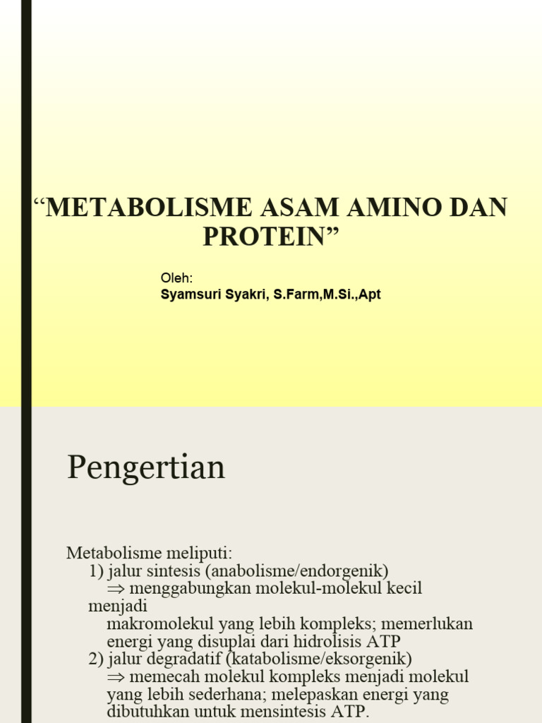 Metabolisme Protein | PDF