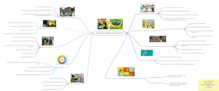 Mapa Mental - Planes y Acciones - Sena | PDF