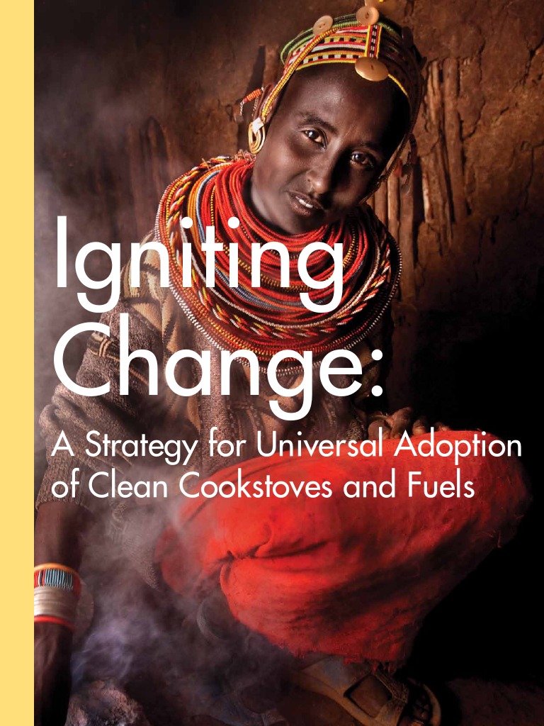 Igniting Change | PDF