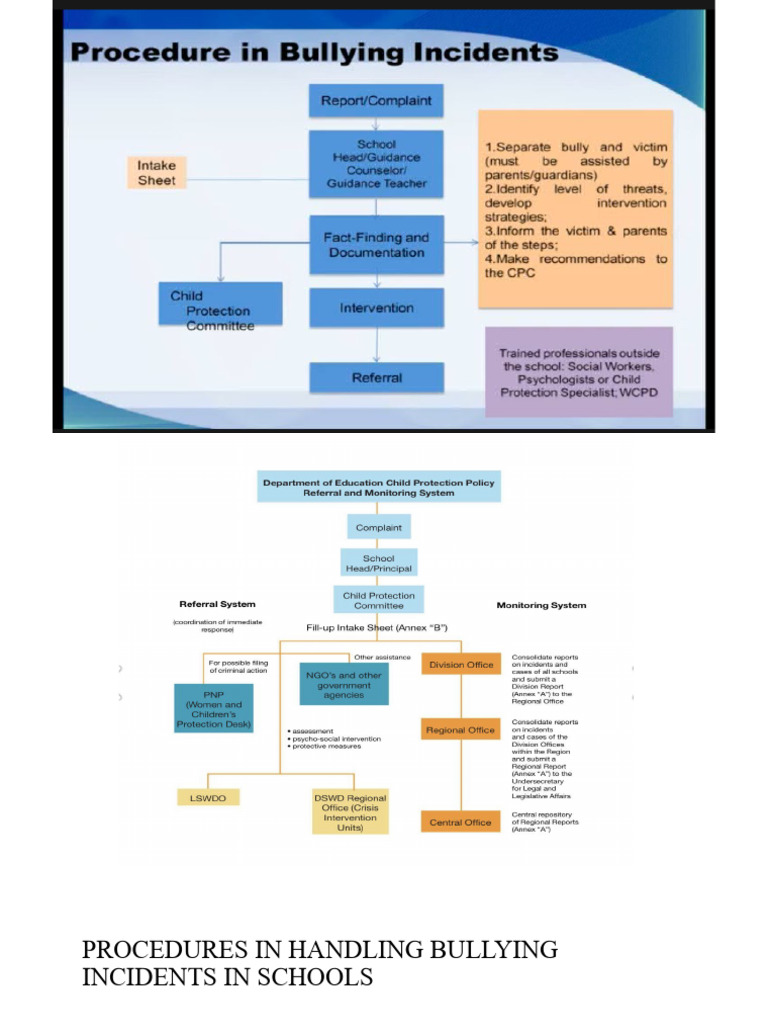 PROCEDURES and FLOW CHART | PDF | Bullying | Injustice