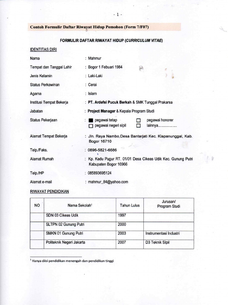 Pengalaman Kerja Merged | PDF