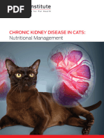 2 IRIS Staging of CKD 2023 | PDF | Blood Pressure | Creatinine