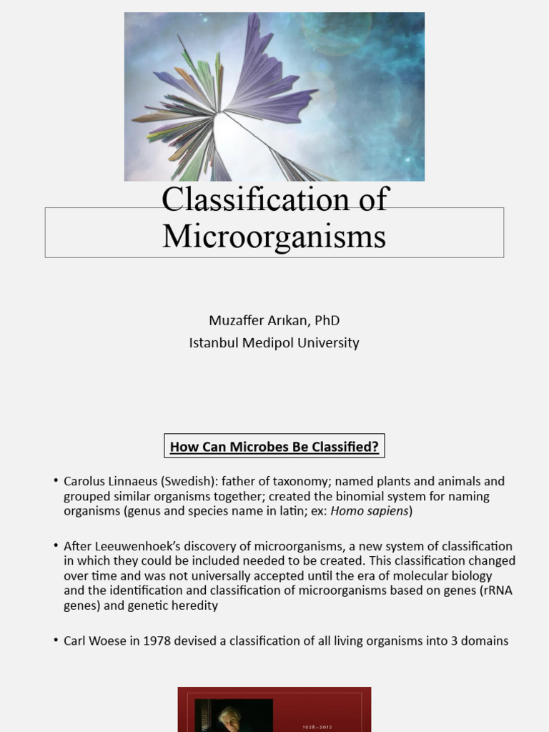 Microbiology 2 Pdf Taxonomy Biology Cell Biology