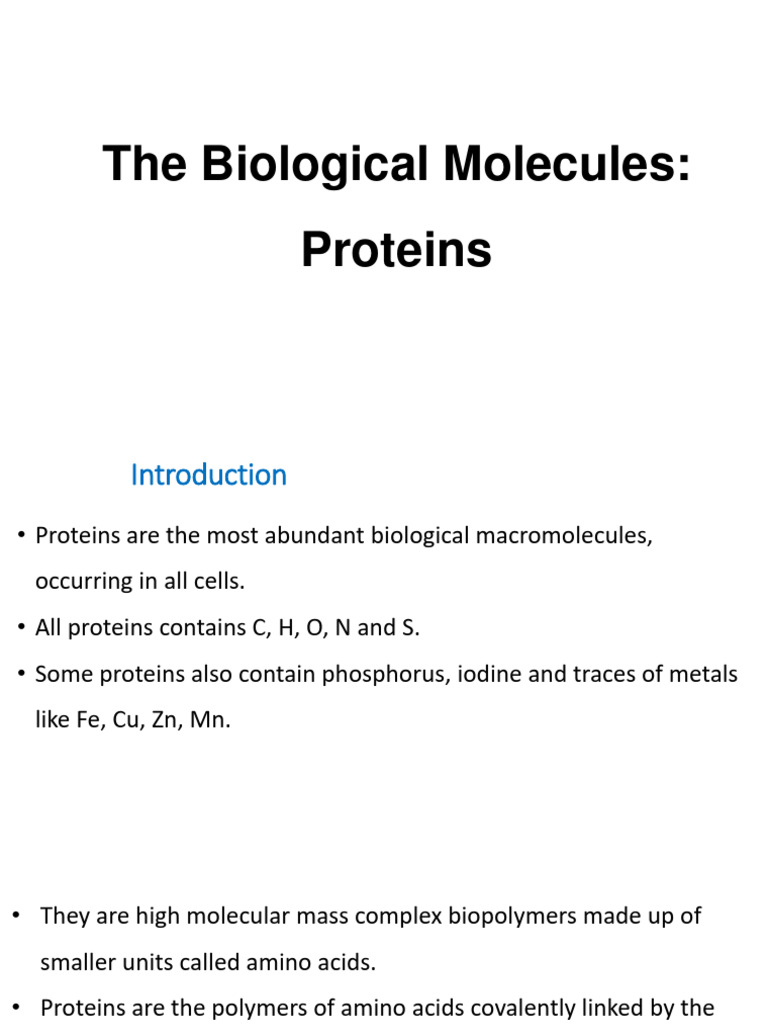 Lecture 4. Proteins | PDF | Enzyme | Protein Structure