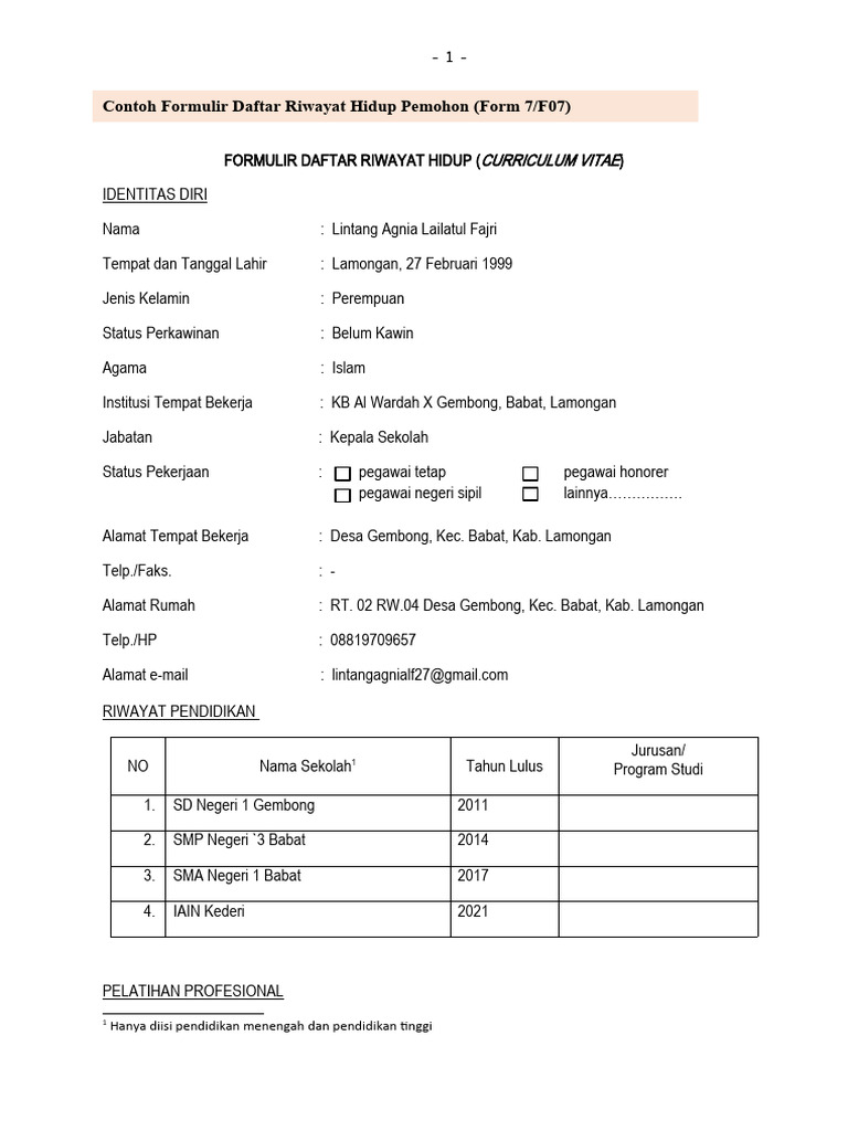 Formulir Daftar Riwayat Hidup Pemohon 0 | PDF