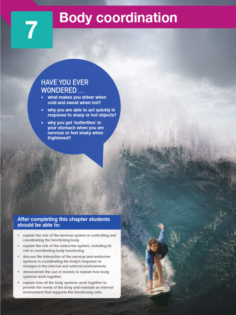 Chapter 7 Body Coordination | PDF | Axon | Nerve