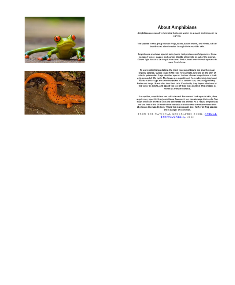 Understanding Amphibians: Key Facts | PDF