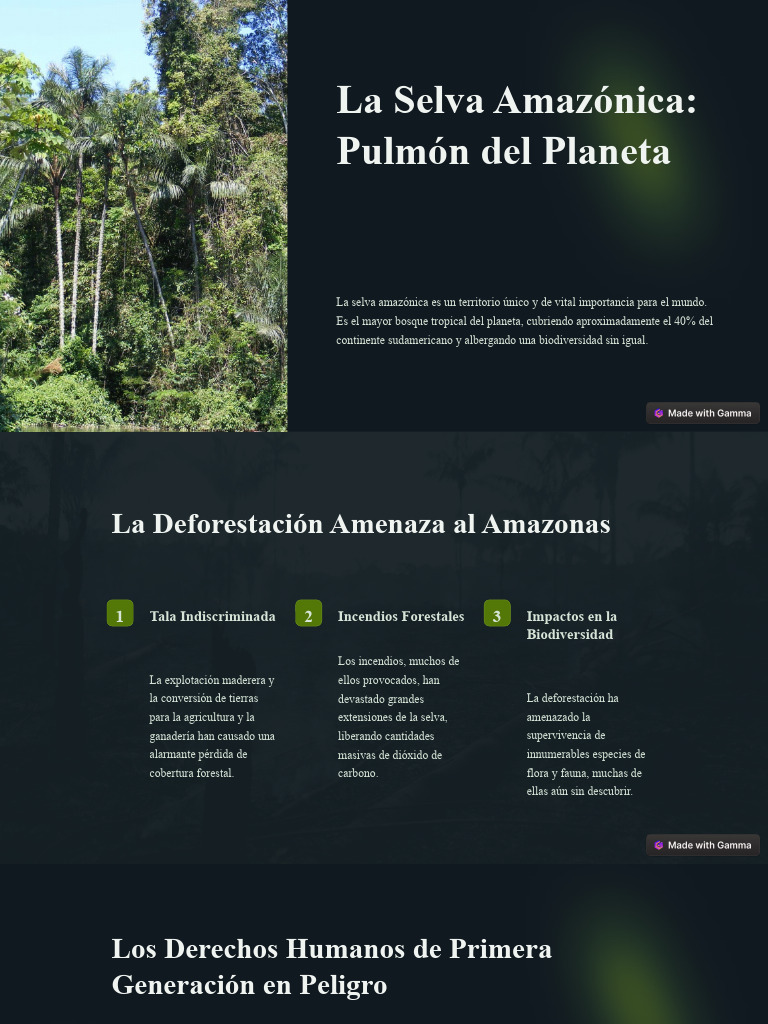 La Selva Amazonica Pulmon Del Planeta | PDF | Deforestación | Selva ...
