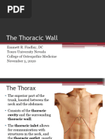 Costovertebral Angle Anatomy Overview | PDF | Vertebra | Vertebral Column