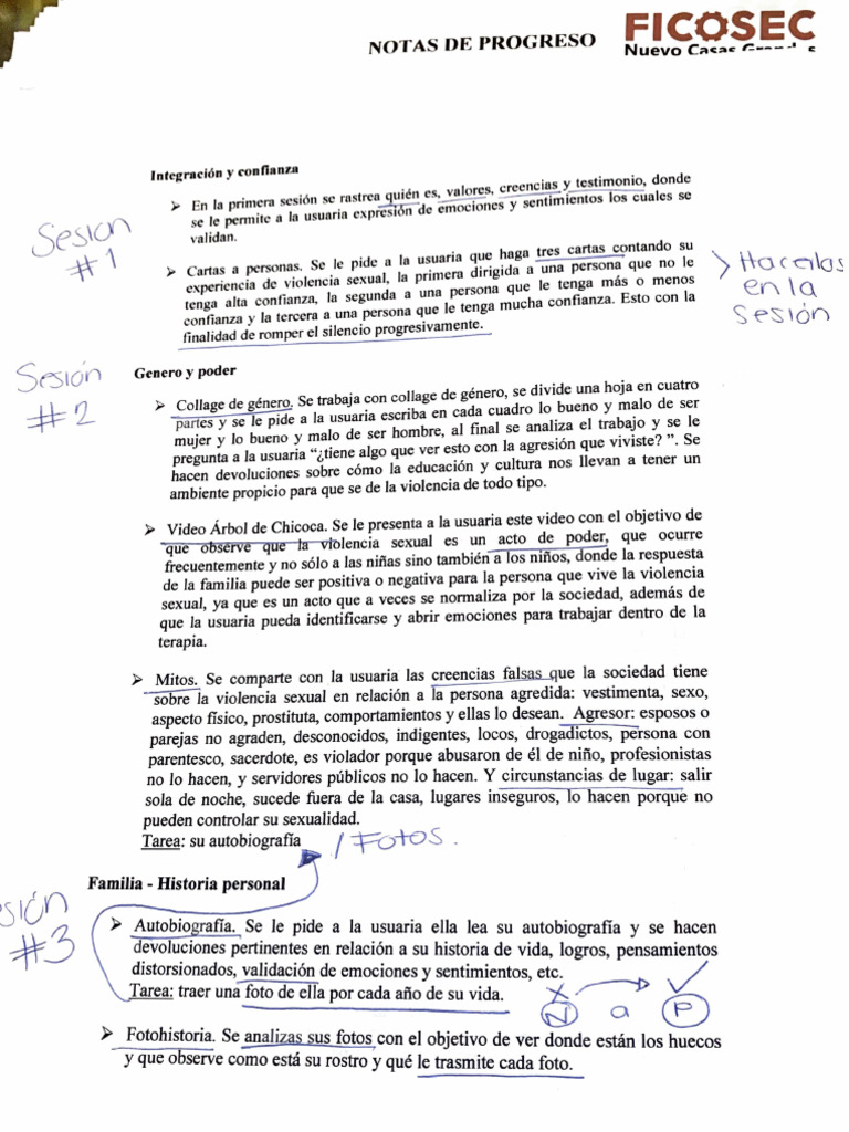 Protocolo Abuso Adultas | PDF | Amor | La sexualidad humana