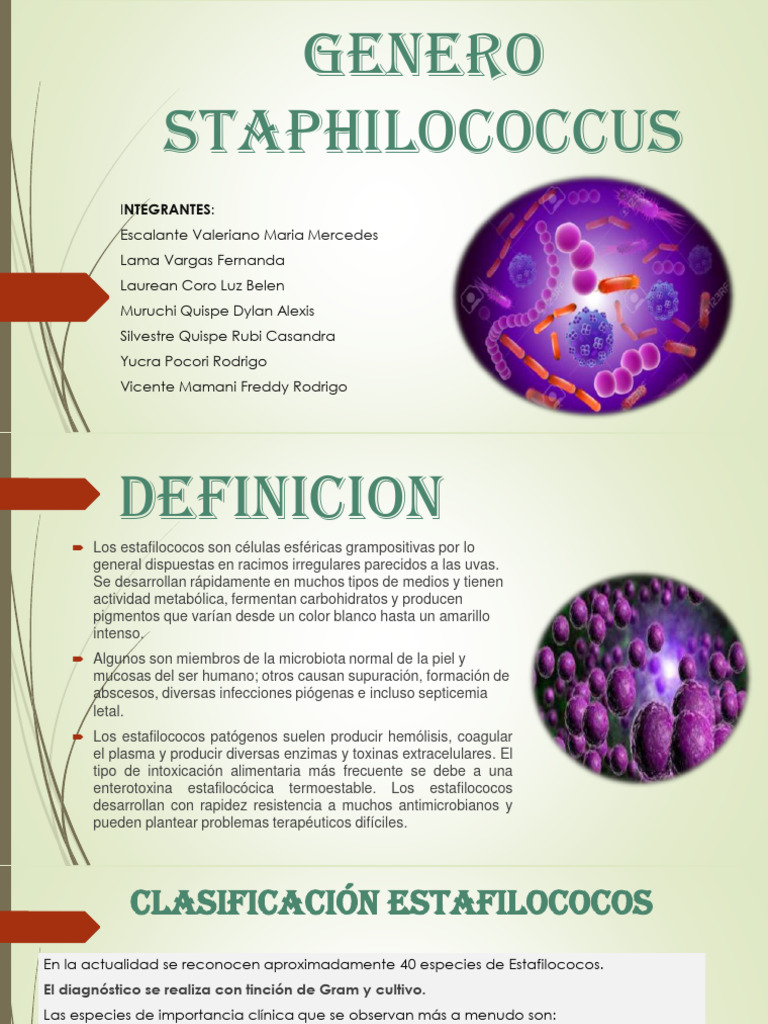 G1 Estafilococos | PDF | Staphylococcus Aureus | Especialidades Medicas