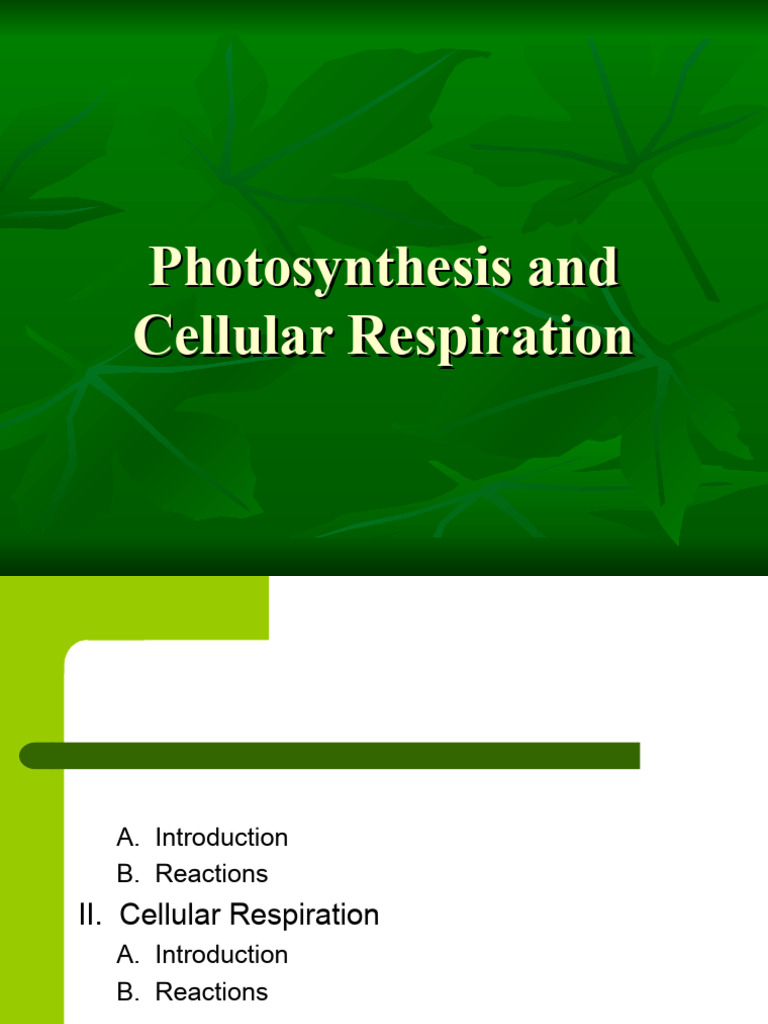 Photosynthesis and Cellular Respiration Post | PDF | Cellular ...