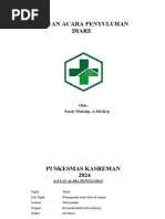 Pedoman Pengendalian Penyakit Diare | PDF