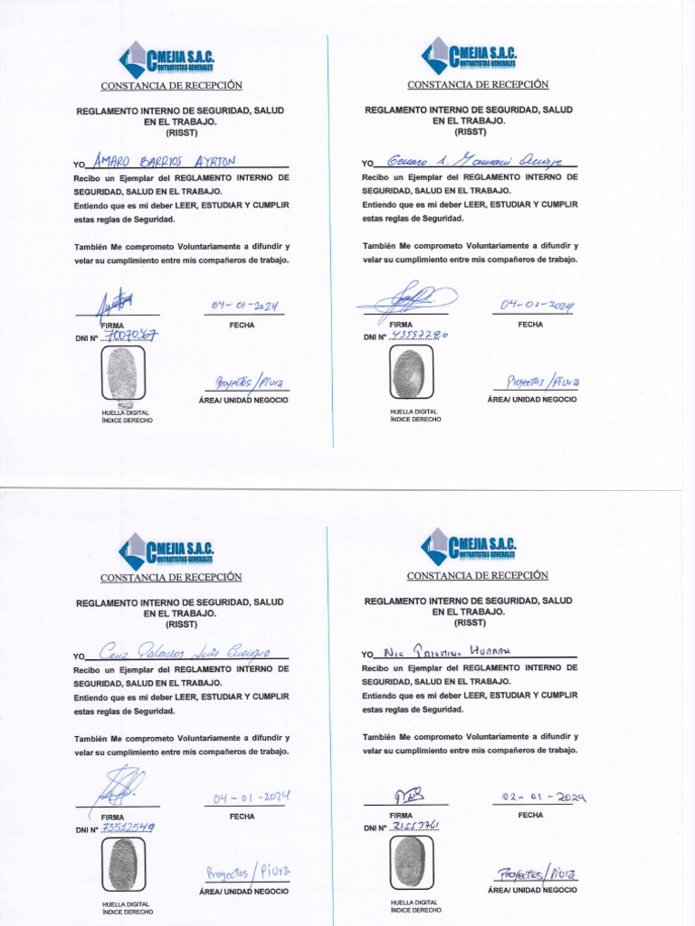 Constancia RISST 2024 | PDF