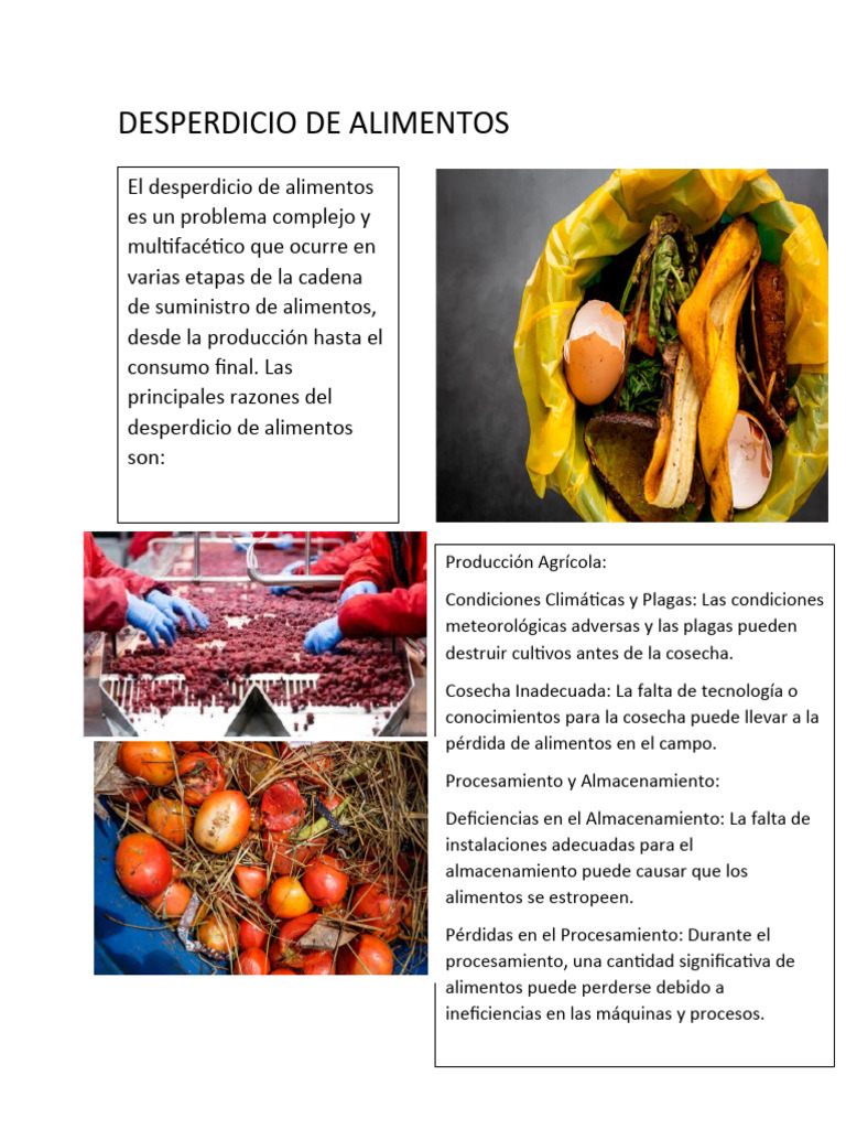 Desperdicio de Alimentos | PDF | Alimentos | Logística