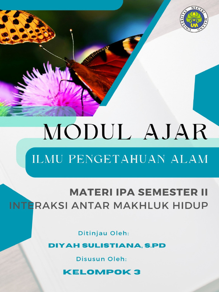 Modul Ajar Interaksi PB | PDF