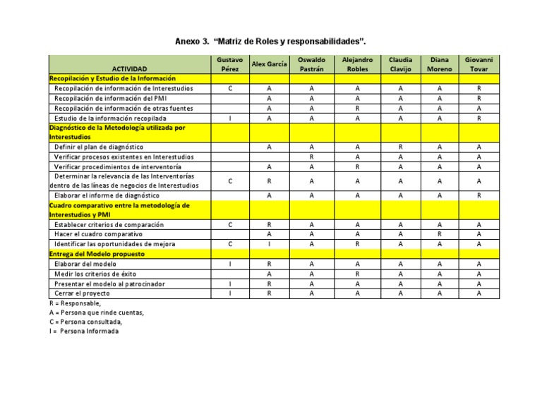 Anexo 3. Matriz de Roles y Responsabilidades | PDF