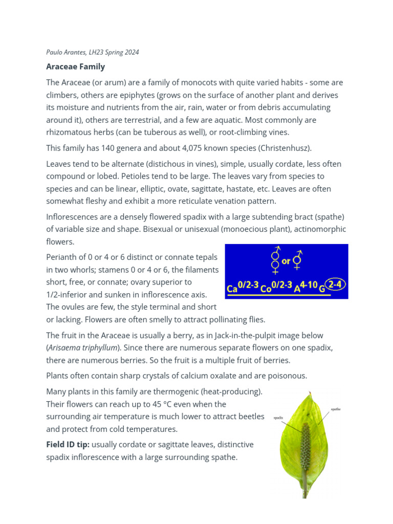 Araceae Family | PDF | Flowers | Plants