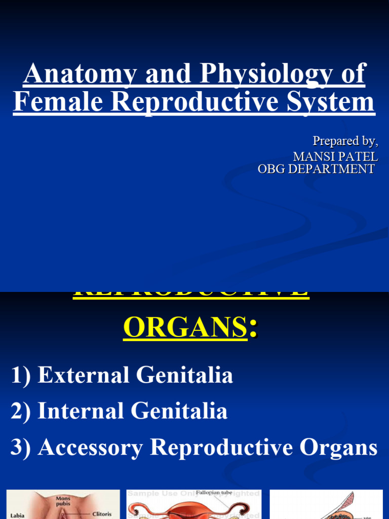 Female Rep Organ | PDF | Uterus | Ovary