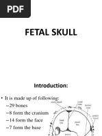 Fetal Skull Anatomy and Measurements | PDF | Skull | Skeletal System