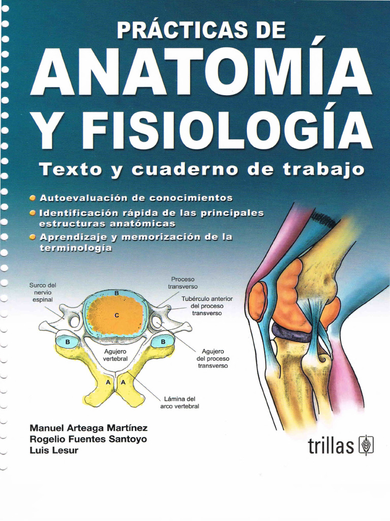 Practicas de Anatomia y Fisiologia | PDF | Términos anatómicos de ubicación | Esqueleto