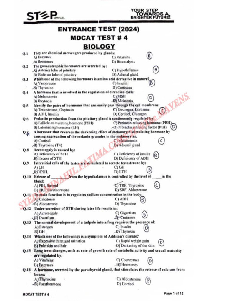 STEP 2024 Reg Test 4 + Key | PDF