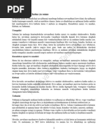 Dokezo La Sabili | PDF