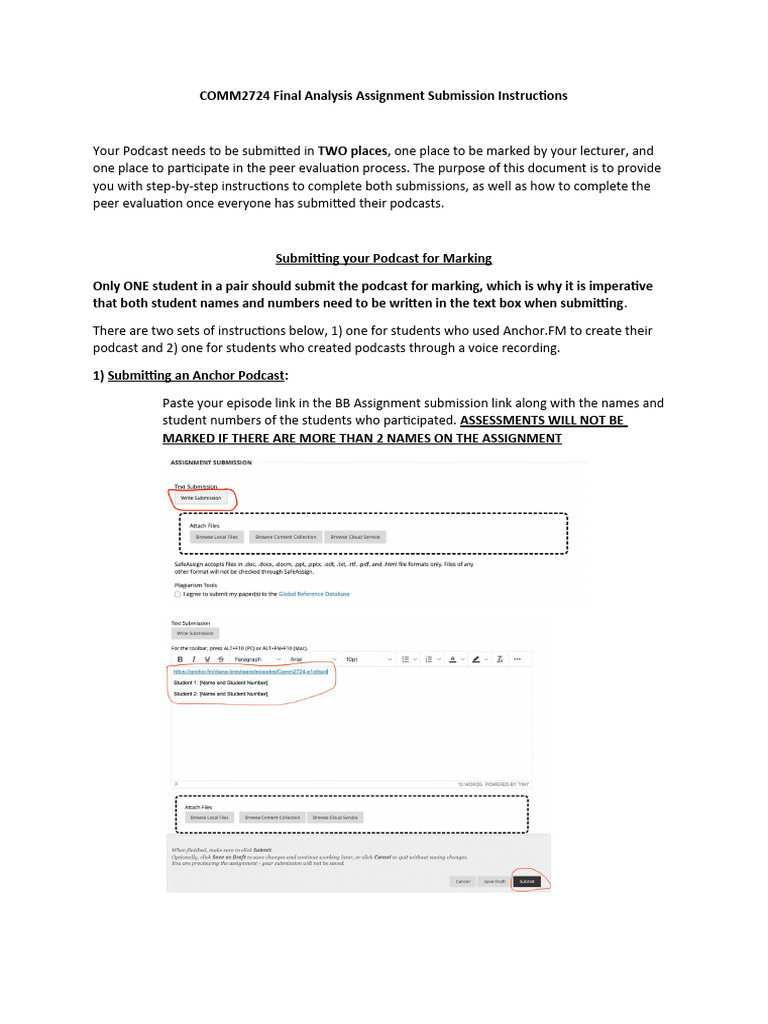Final Analysis Assignment Submission Instructions | PDF | Rubric (Academic) | Podcast