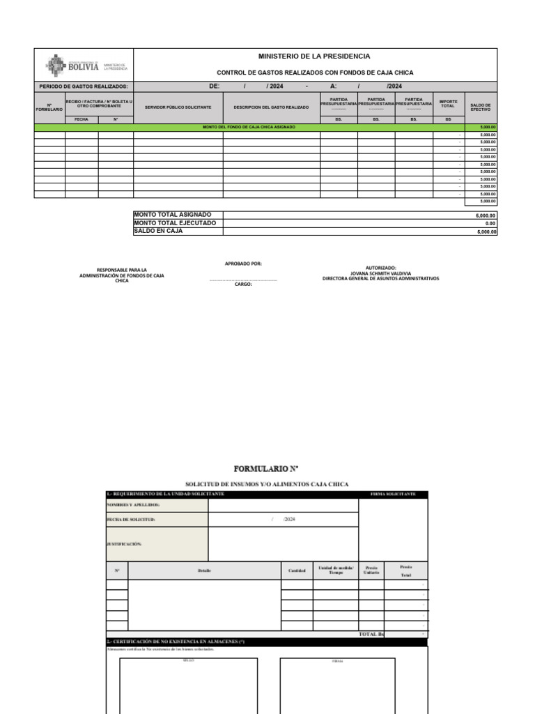 Formularios Caja Chica 2024 RM 156 | PDF | Gobierno