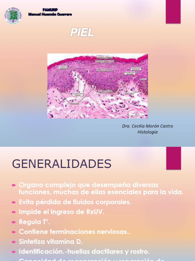 Piel Pdf
