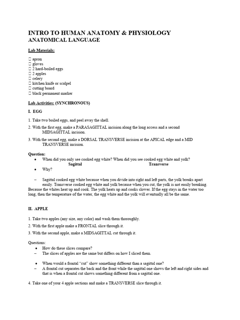 Human Anatomy Lab: Dissection Techniques | PDF | Anatomical Terms Of ...