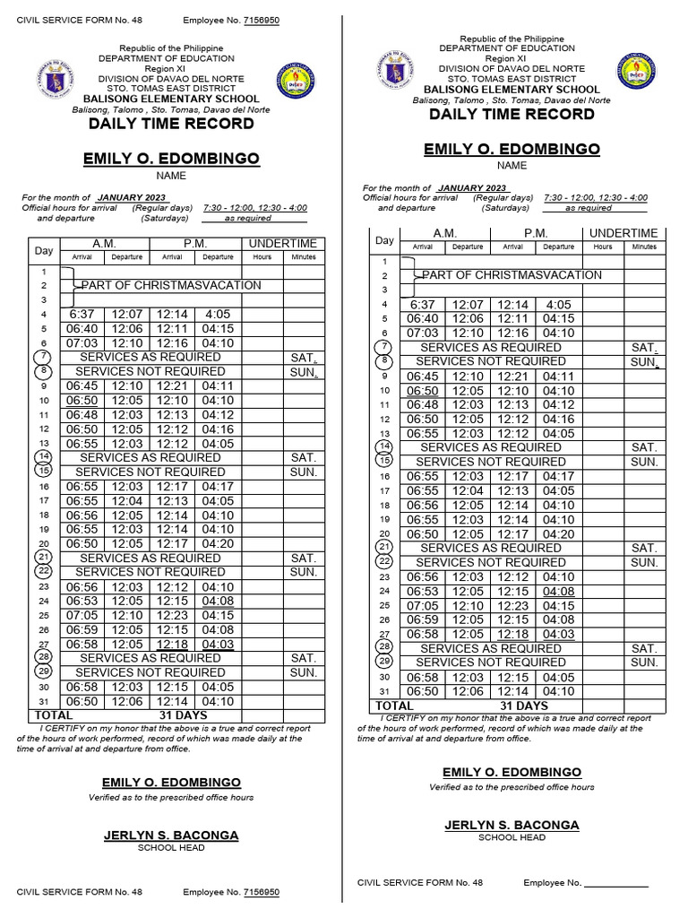 A4 CIVIL SERVICE FORM Blank Form | PDF | Philippines