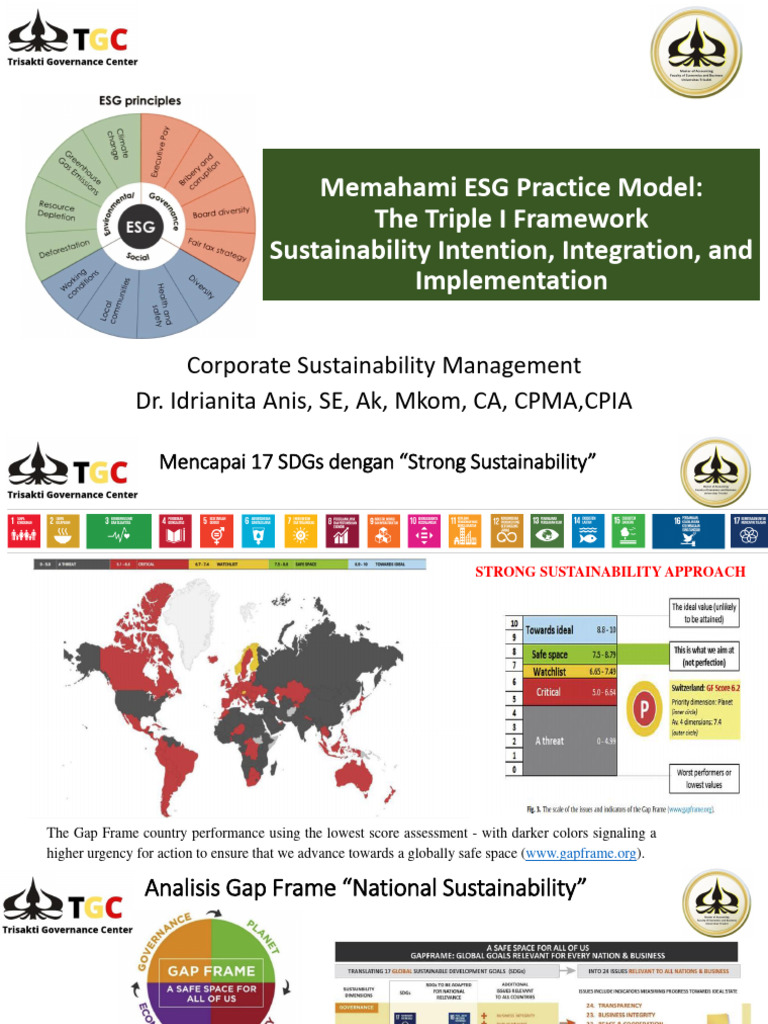 ESG Practice Model: Triple I Framework | PDF | Sustainability | Governance